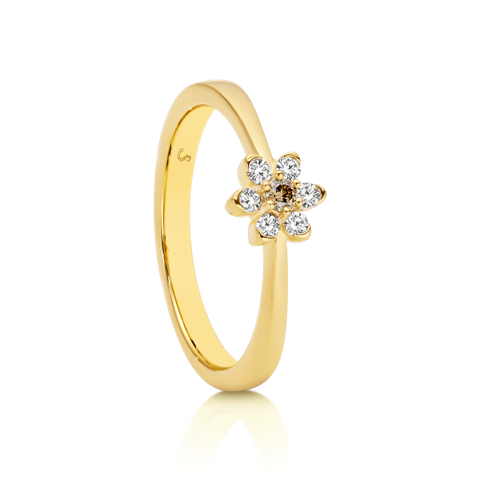 DREAMTIME 9ct Yellow Gold Argyle Diamond Daisy Flower Cluster Ring ...